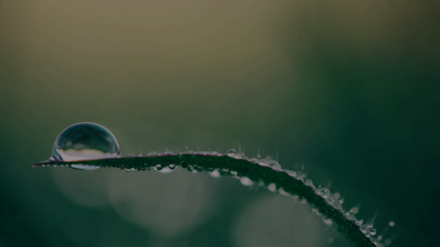 Advanced Totem Customization Techniques: Mastering Professional ...