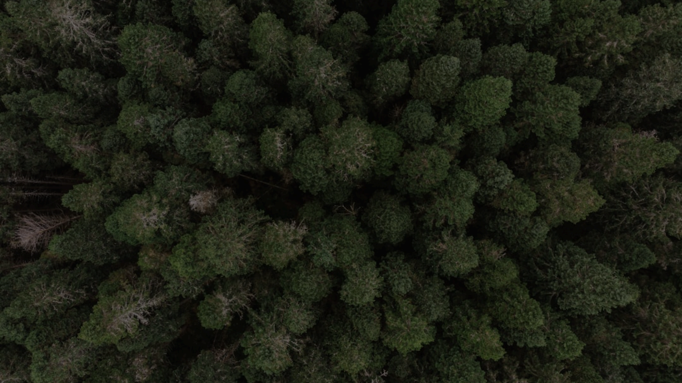 How to Build an Efficient Totem of Undying Farm in Minecraft | Custom ...